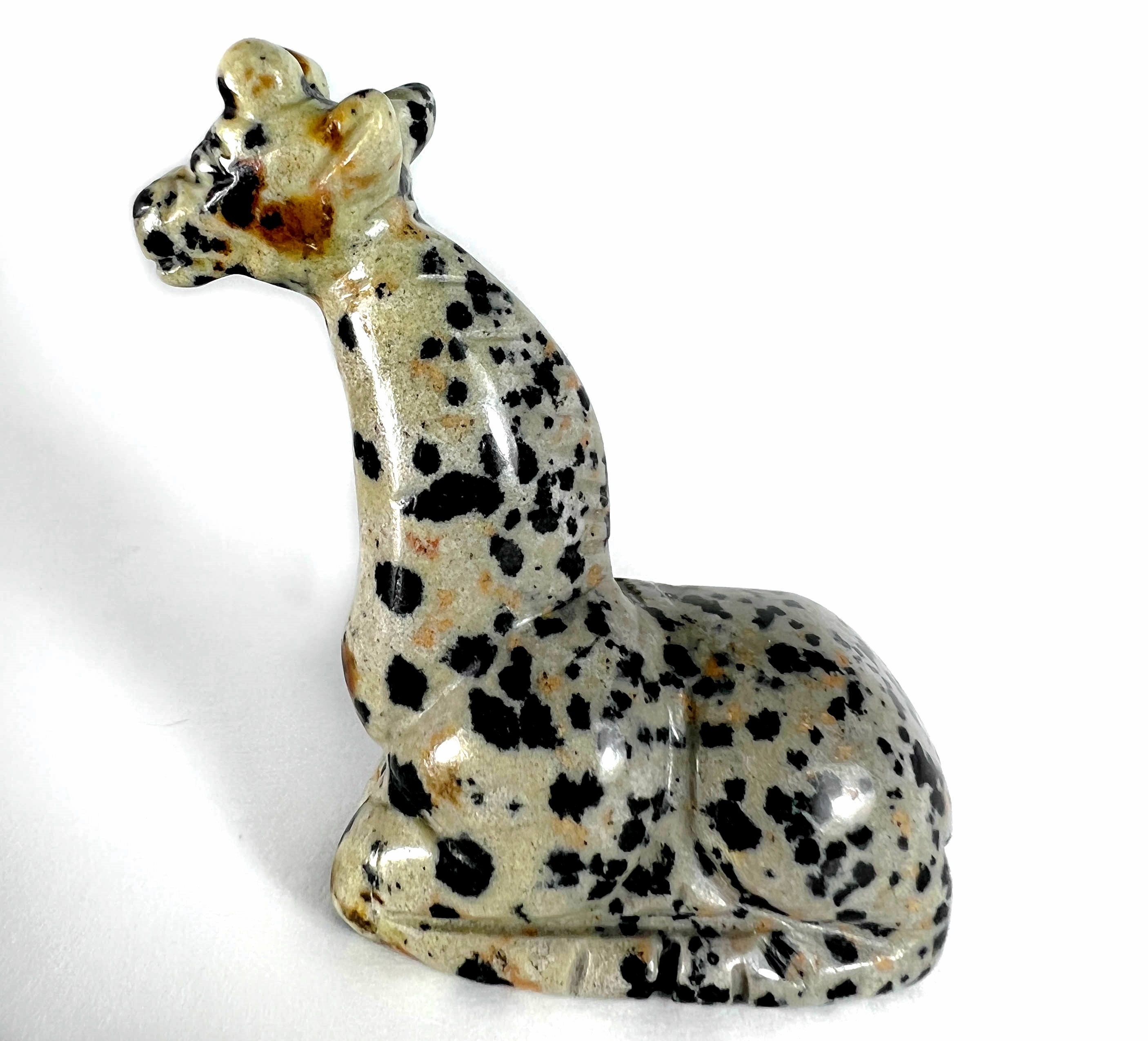 Dalmatian Jasper Giraffe Spirit Animal Totem Fetish Stone - Etsy