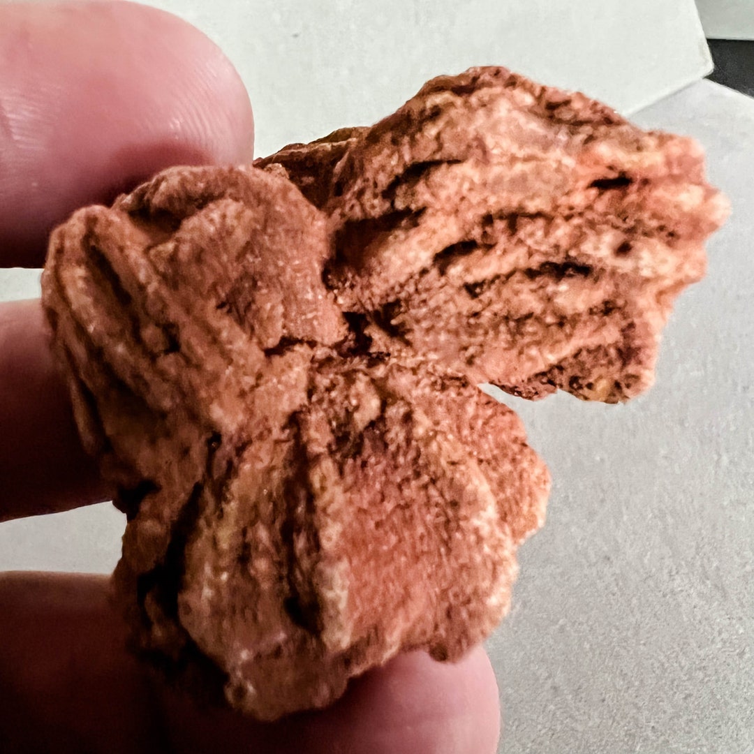 Natural Barite Rose Mineral Crystal Specimen Desert Rose 7132 - Etsy