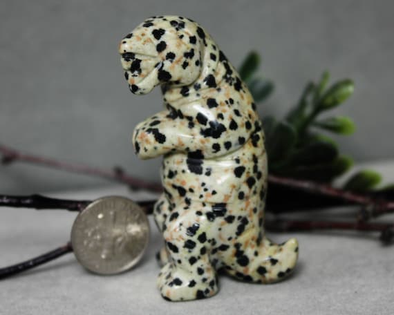 Tyrannosaurus Rex Dalmatian Jasper Dinosaur Totem Fetish Stone - Etsy