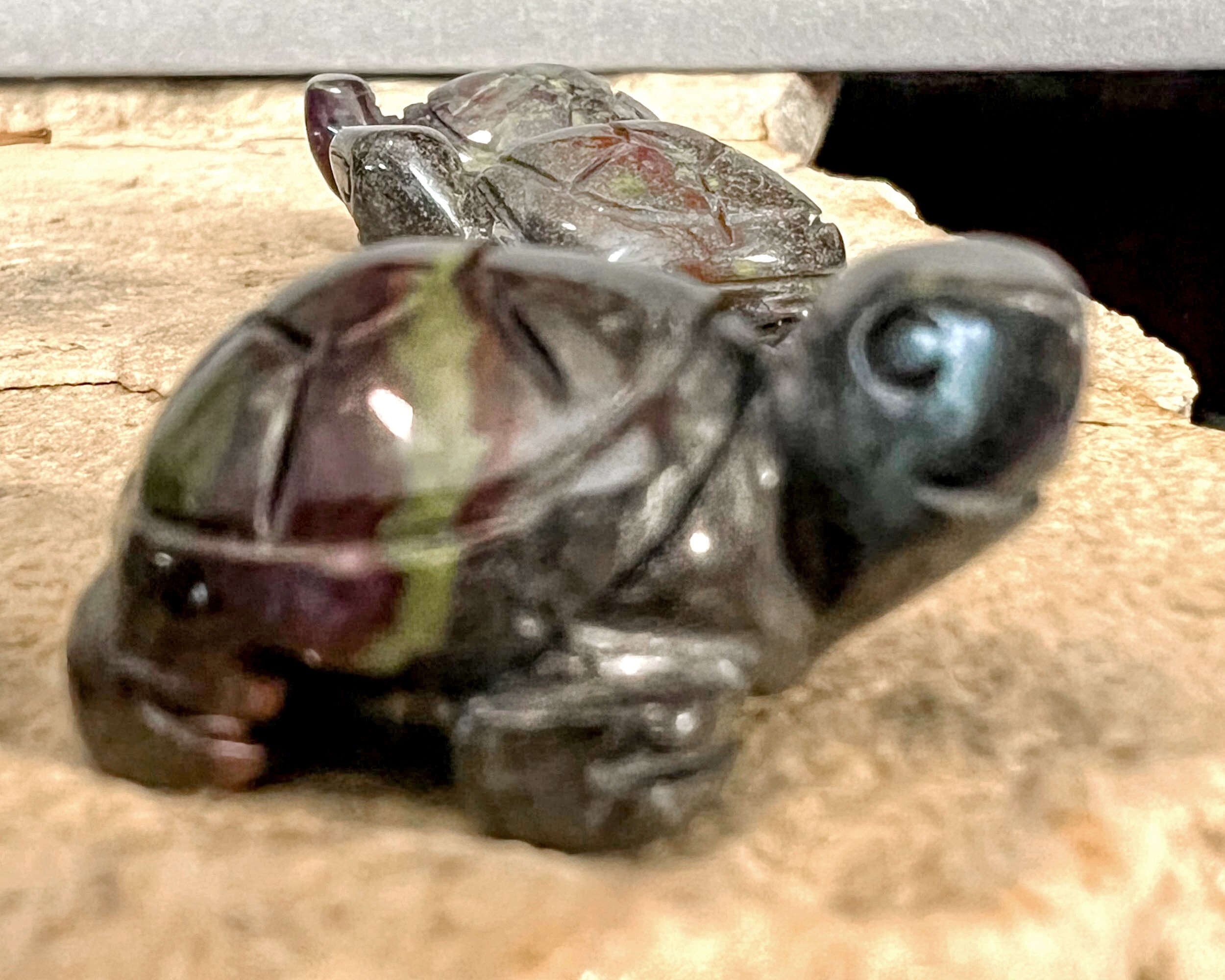 Hand Carved Turtle Dragon Blood Tortoise Totem Fetish Stone - Etsy