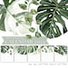 Printable Monstera Watercolour Calendar 2024, Monthly Calendar With ...