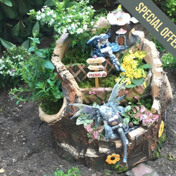 Fairy Garden Planter - Etsy