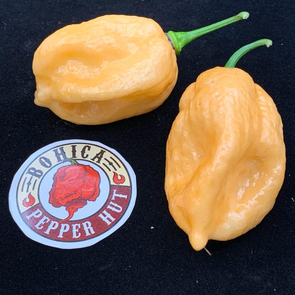 BohicaPepperHut - Etsy