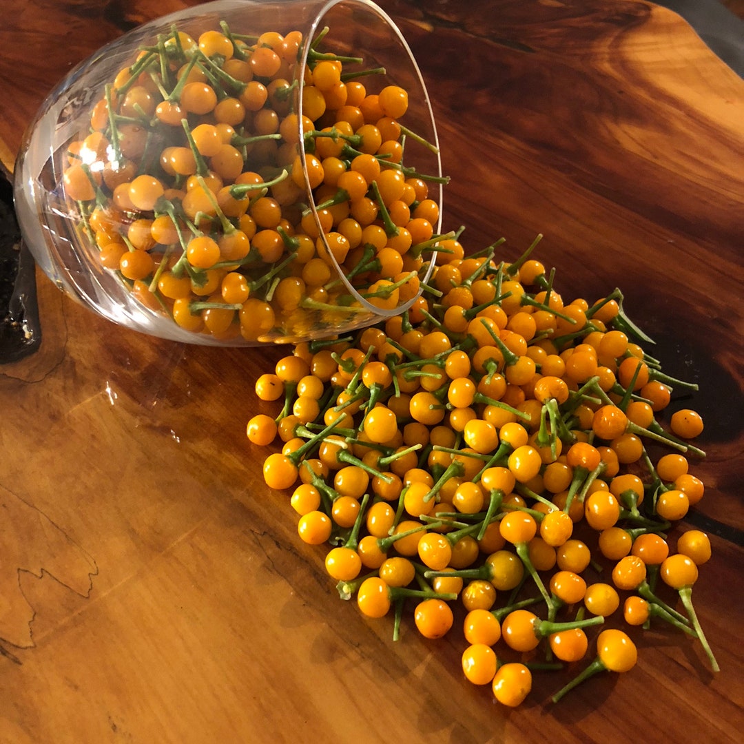 Aji - Pepper Seed Combo Pack (7 Varieties) - Etsy