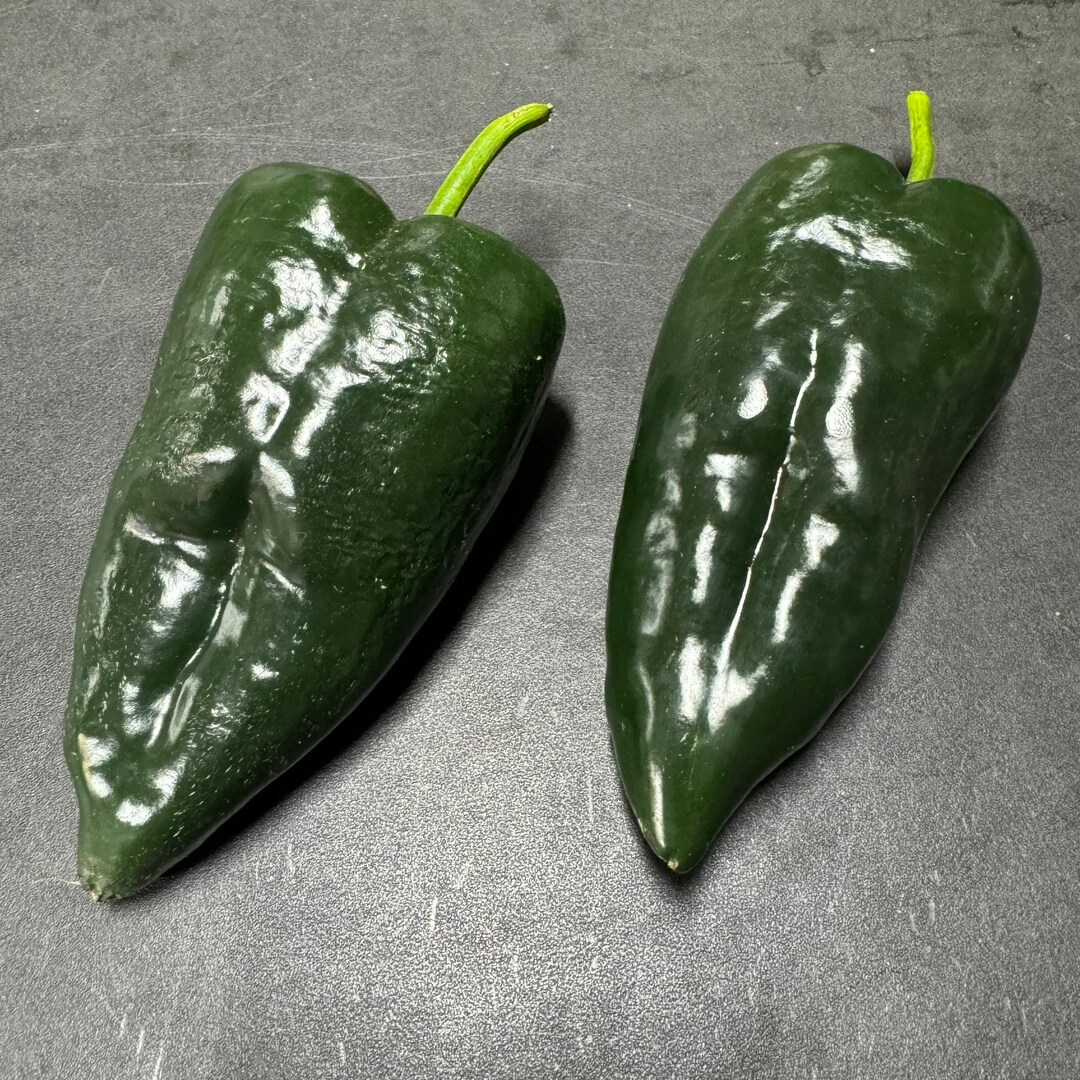 Poblano - (capsicum Annum) - Seeds - Etsy