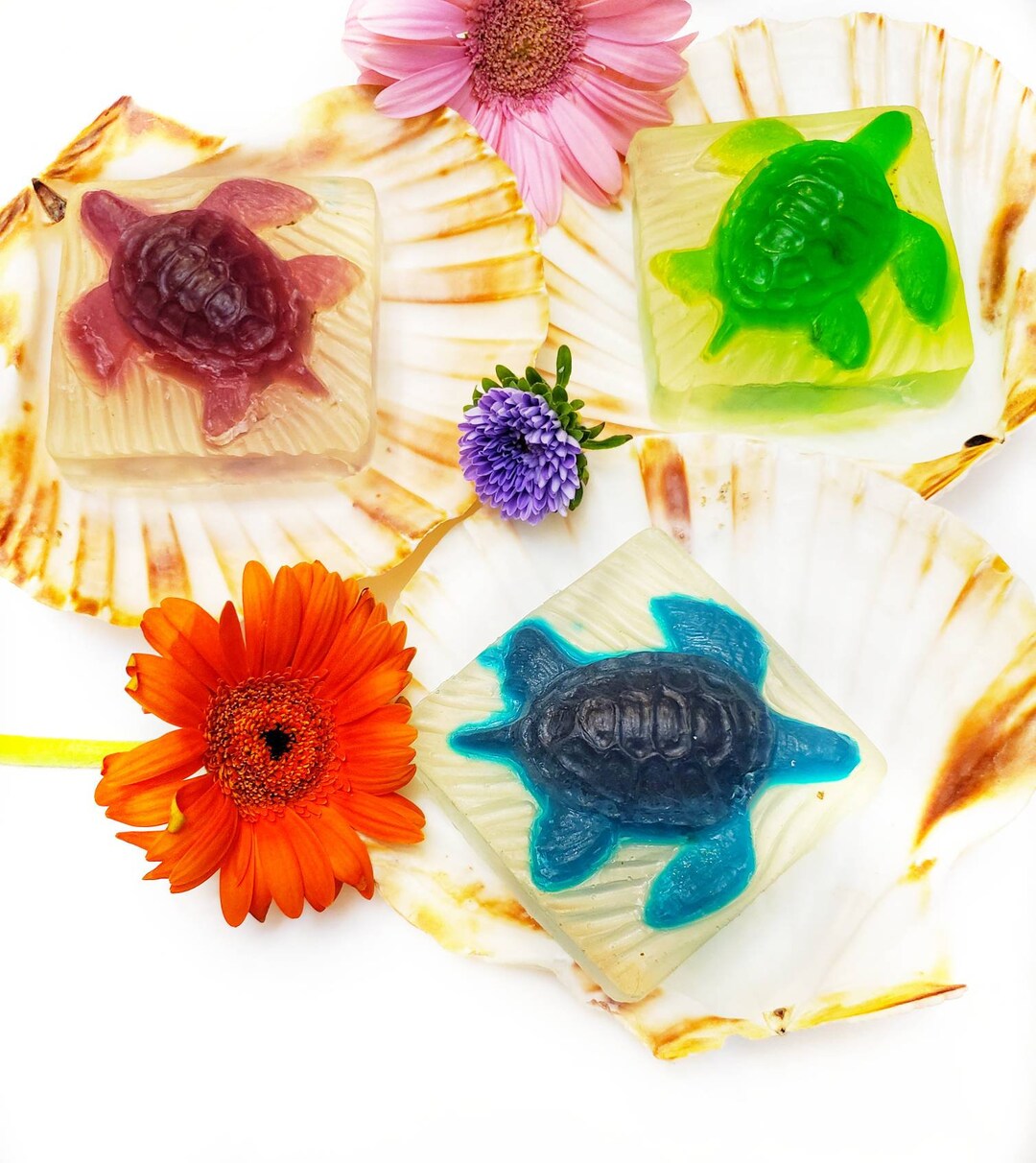 Aloe Vera Colored Sea Turtle Natural Soap - Etsy