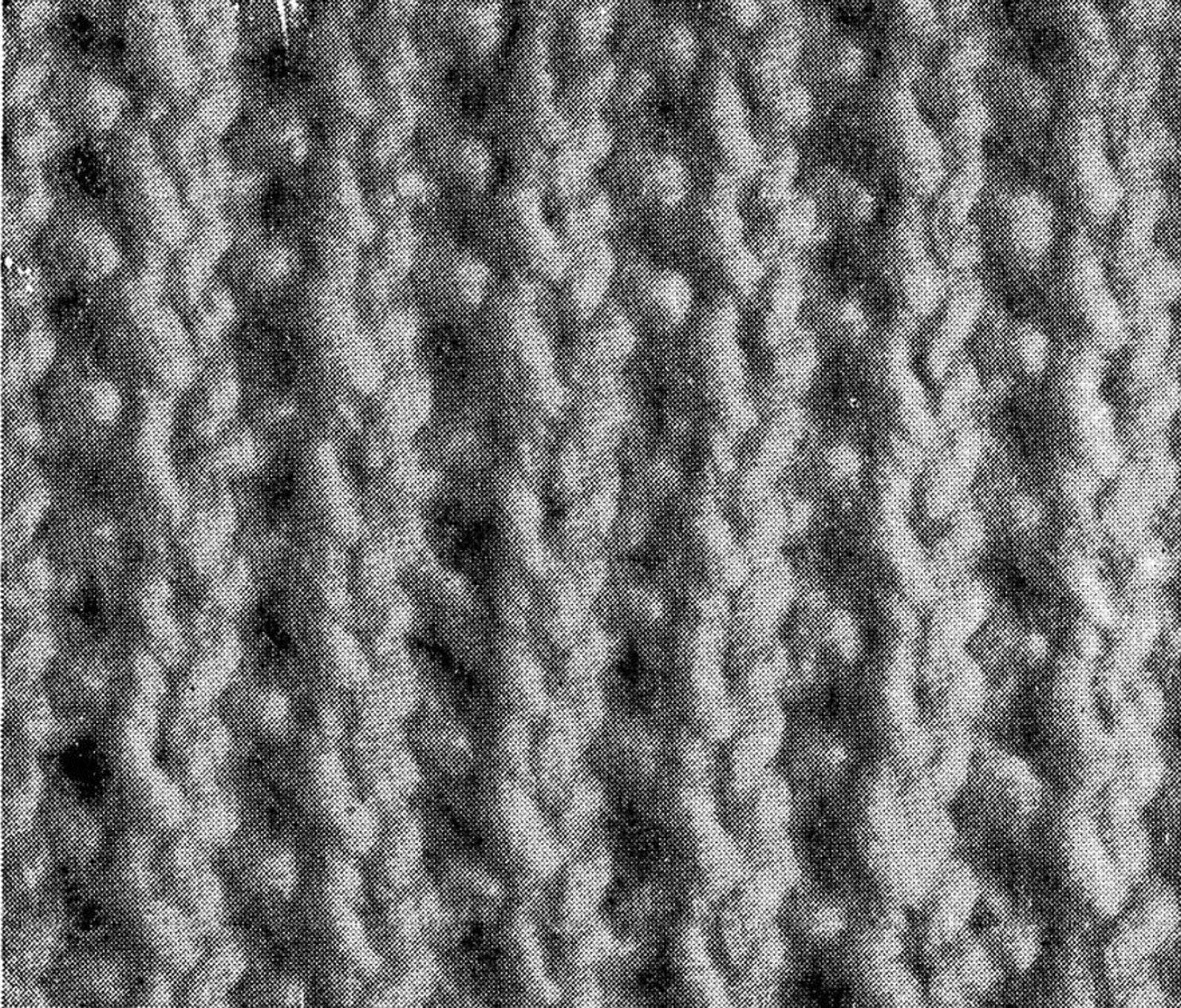 Ladies and Mens "easy Knit" Textured Cardigan With Shawl Collar ...