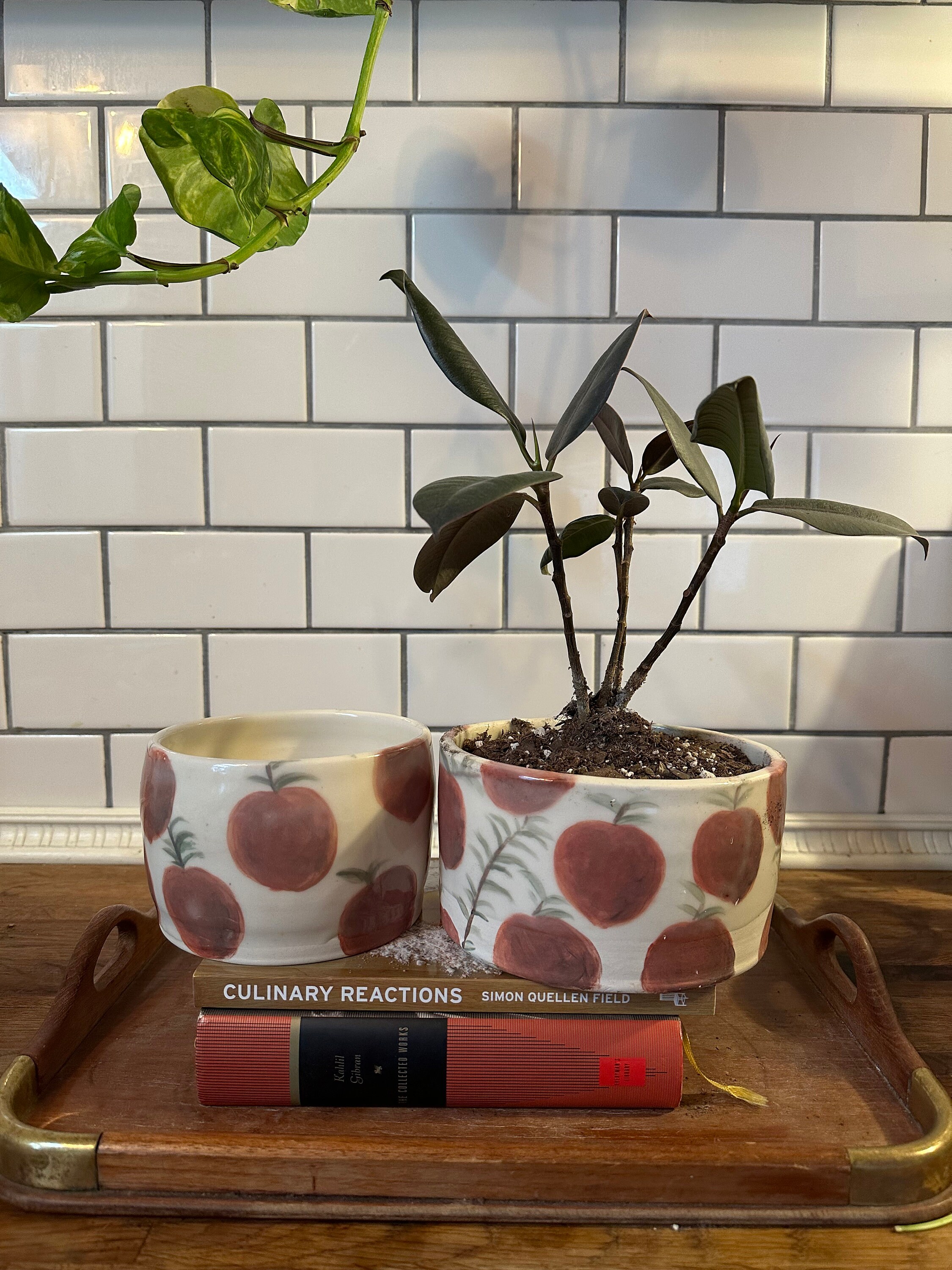 Hand Painted Ceramic Planters - Etsy