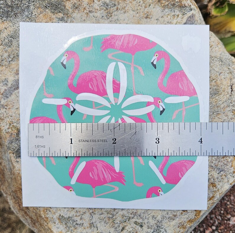 Sand Dollar Vinyl Decal: Flamingo Beach Decor - Etsy