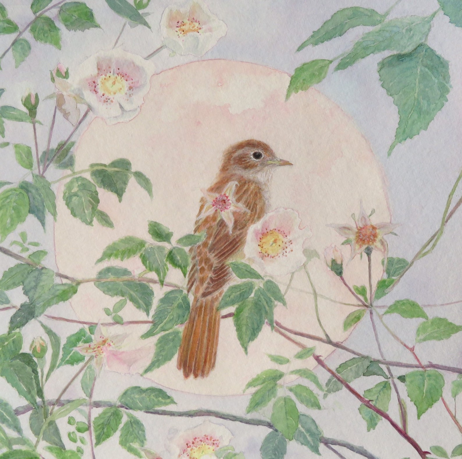 Nightingale moon and wild roses painting original | Etsy