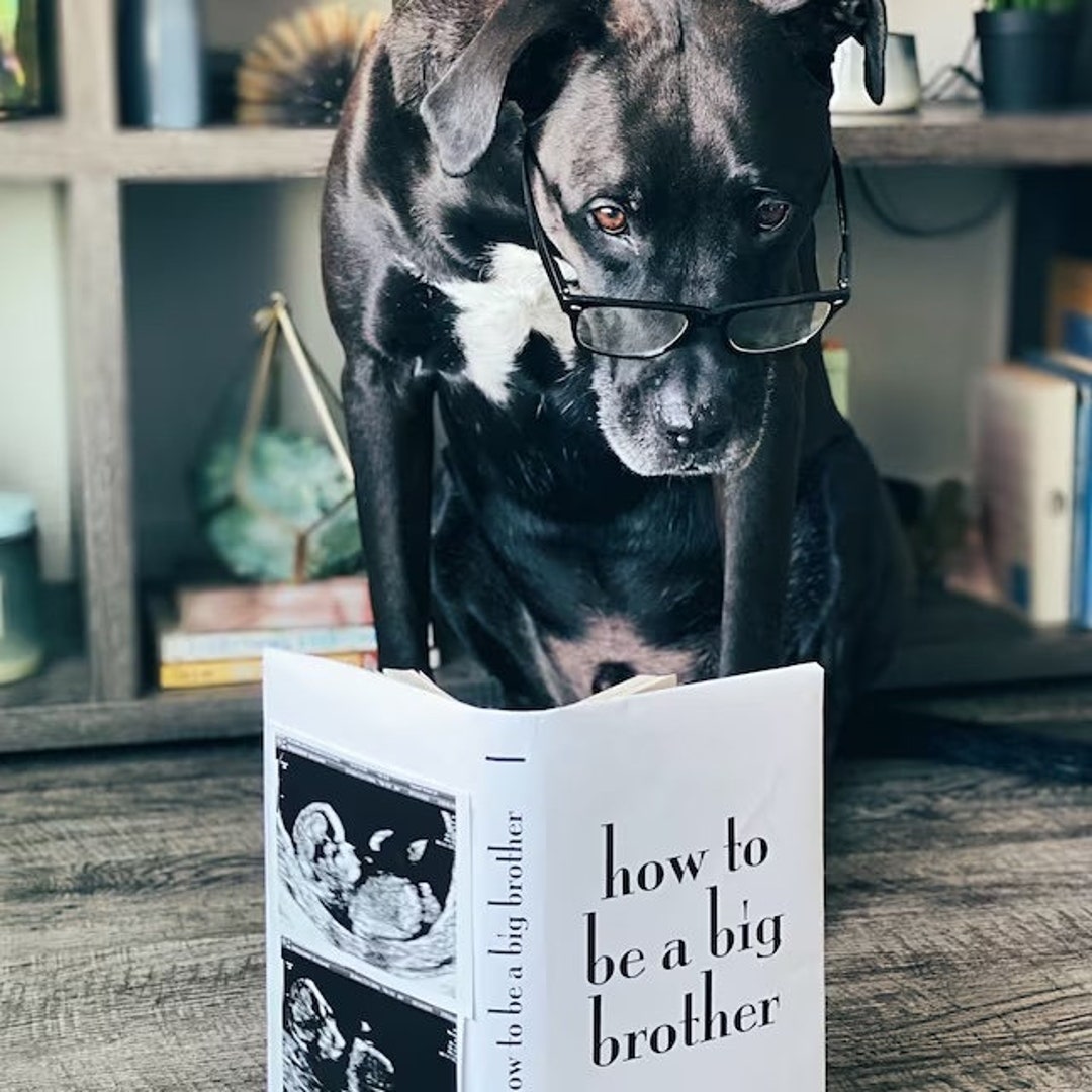 How to Be A Big Brother - Dust Jacket - Digital Download - Fun ...