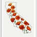 CALIFORNIA State Flower Print, State Art Print, Gift Idea, Map Art - Etsy