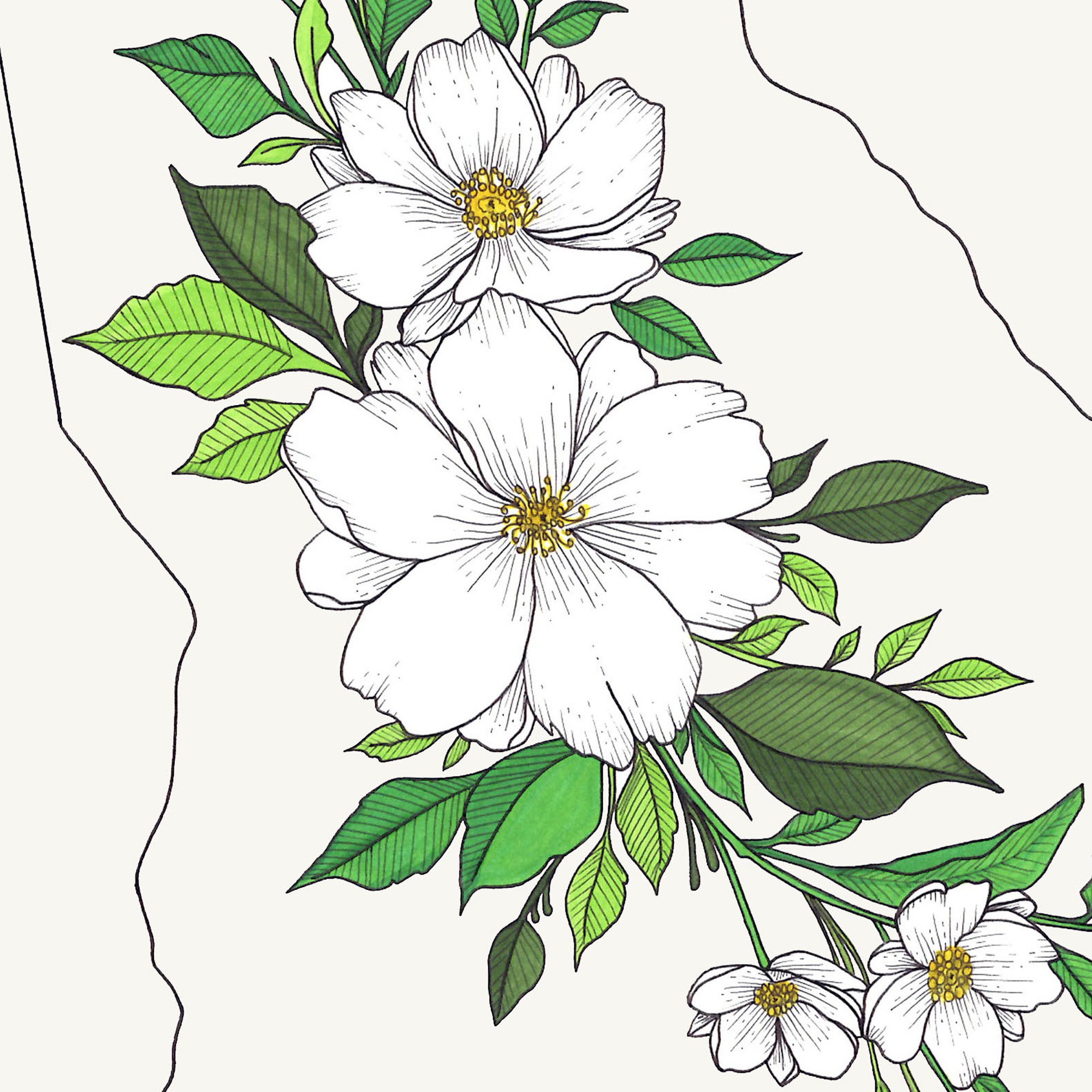 GEORGIA State Flower Print, State Art Print, Gift Idea, Map Art - Etsy