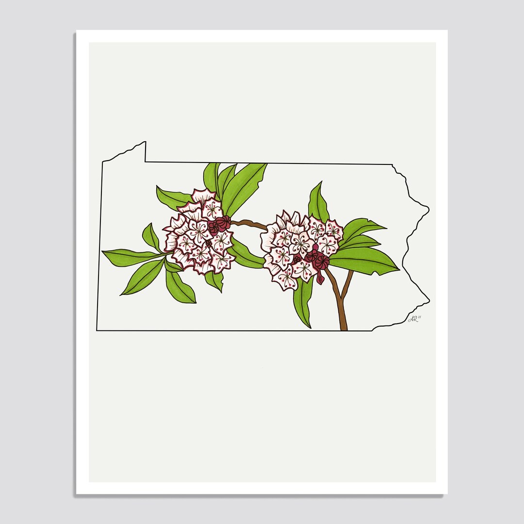 PENNSYLVANIA State Flower Print, State Art Print, Gift Idea, Map Art - Etsy