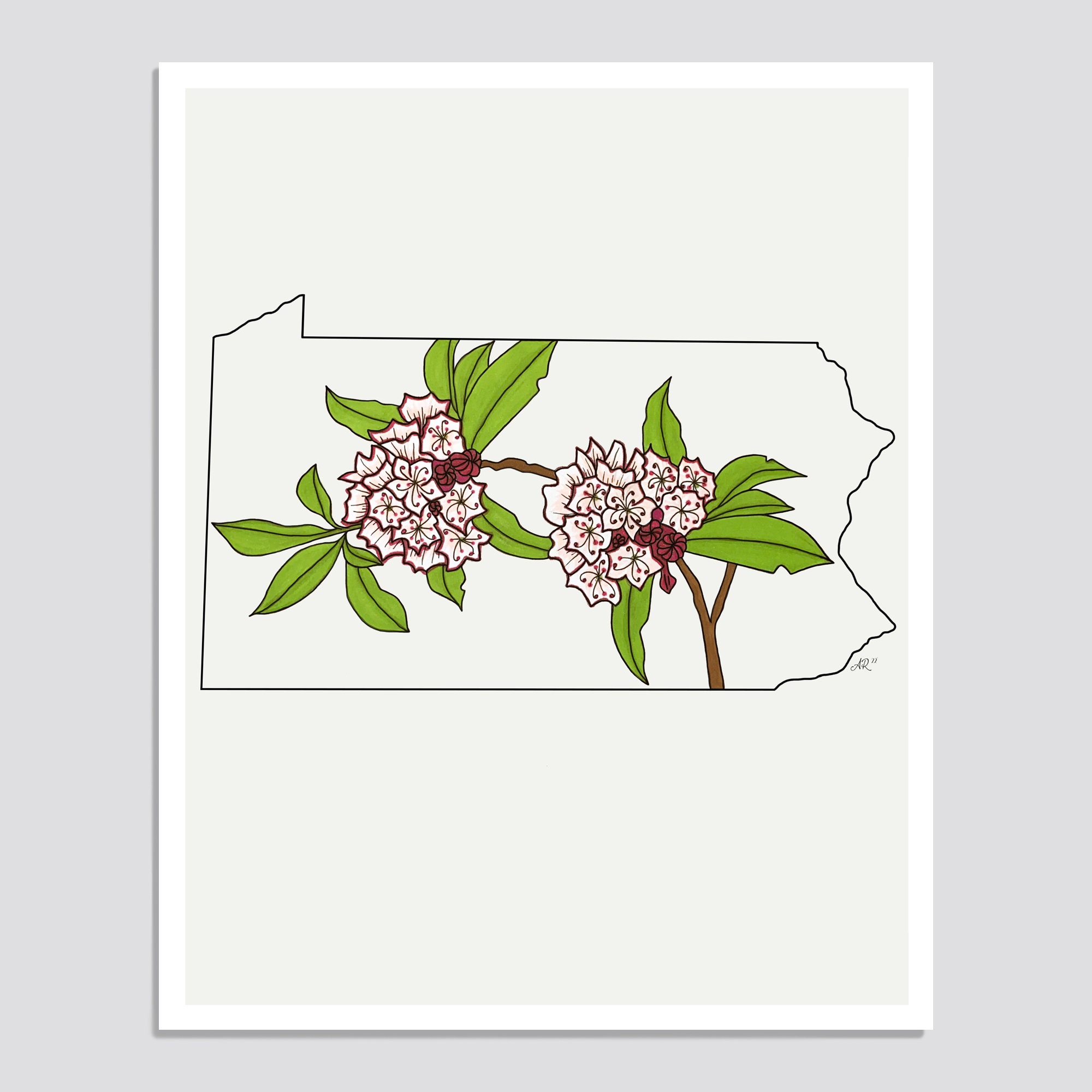 PENNSYLVANIA State Flower Print, State Art Print, Gift Idea, Map Art - Etsy