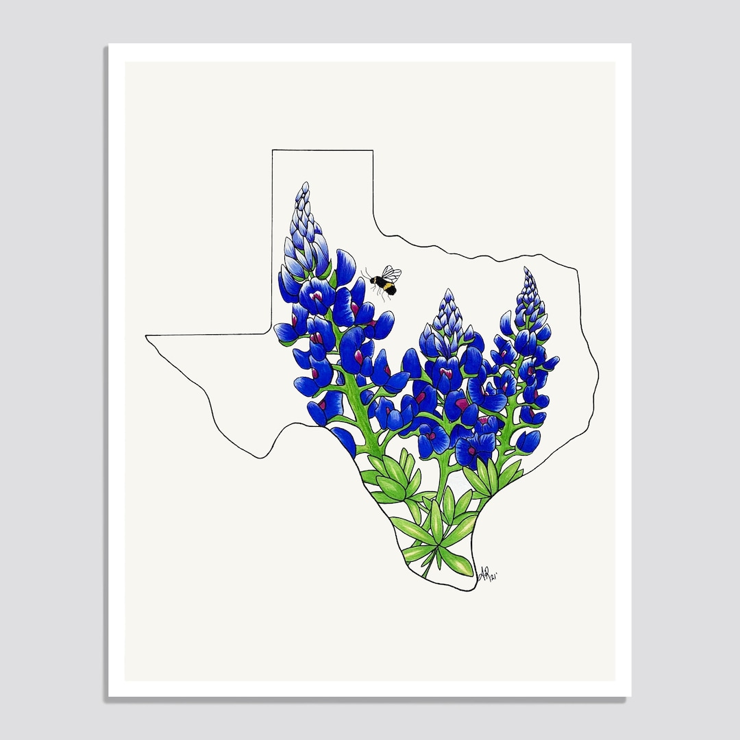 Texas State Flower Print - Unique State Art Print - Perfect Gift Idea ...