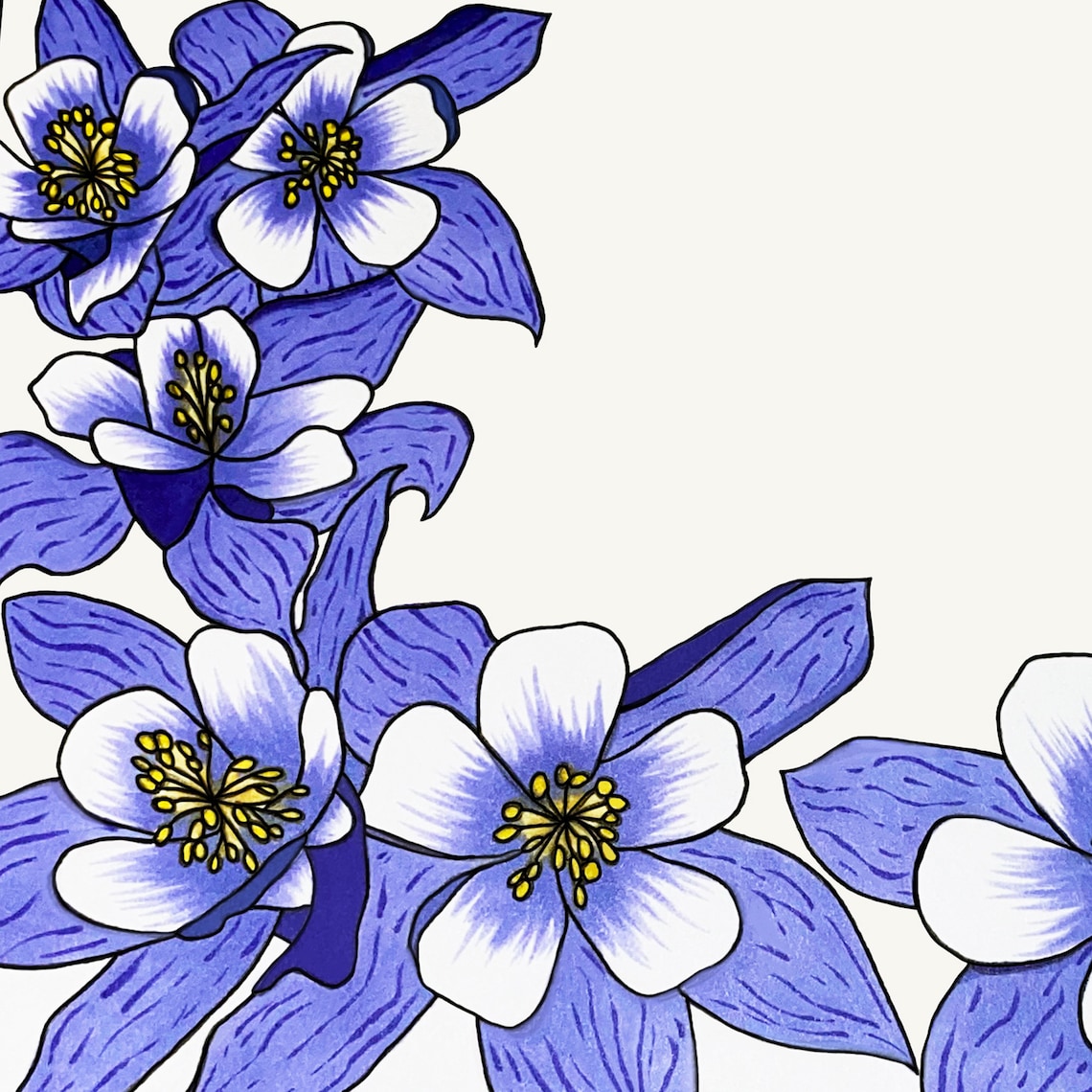 COLORADO State Flowerprint, State Art Print, Gift Idea, Map Art - Etsy