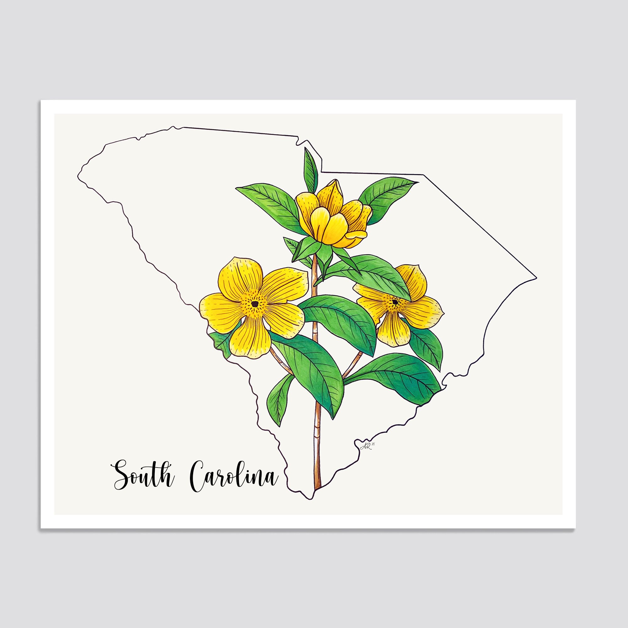 Yellow Jasmine Flower Drawing
