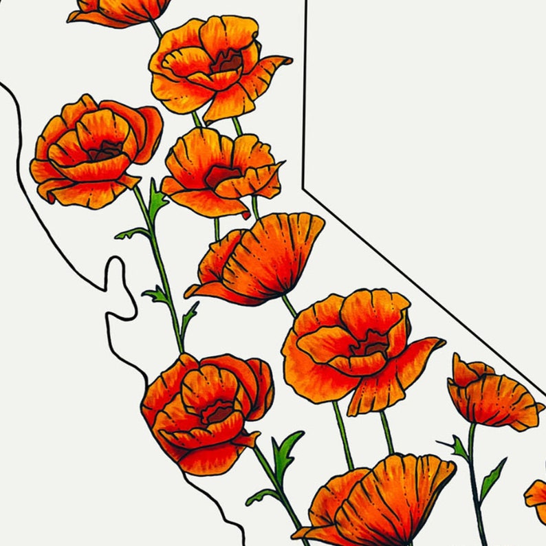 CALIFORNIA State Flower Print, State Art Print, Gift Idea, Map Art - Etsy
