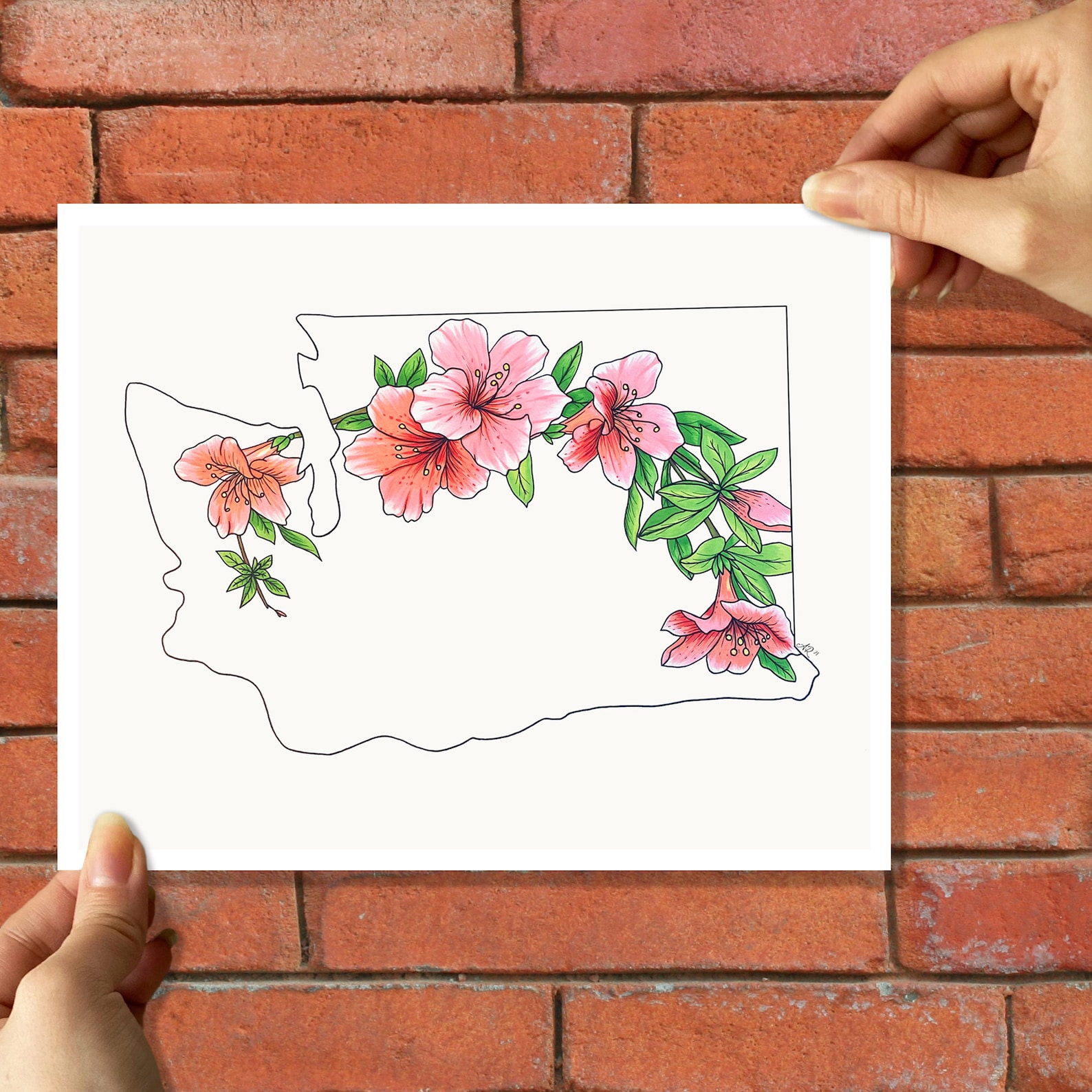 WASHINGTON State Flower Print, State Art Print, Gift Idea, Map Art - Etsy