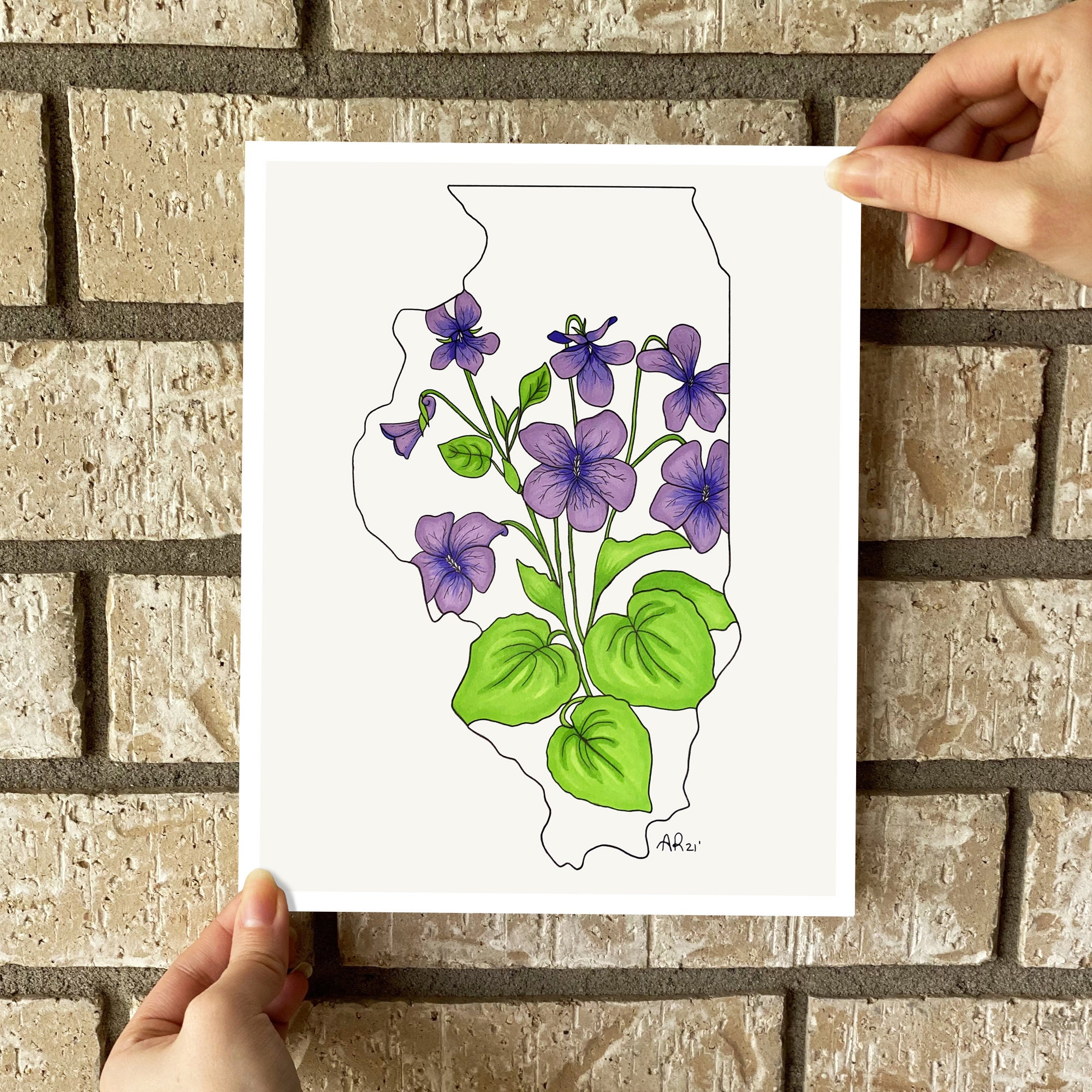ILLINOIS State Flower Print, State Art Print, Gift Idea, Map Art - Etsy
