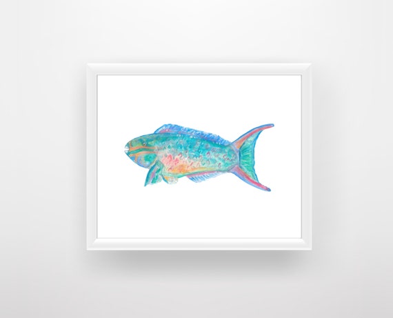 Queen Parrotfish Digital Print Printable Wall Art Watercolor | Etsy