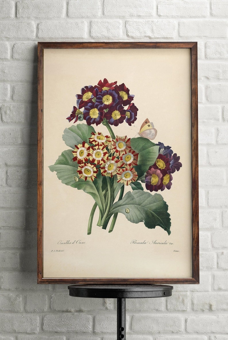 Primrose Flower Print Antique Primrose Bouquet Flowers Watercolor Wall ...