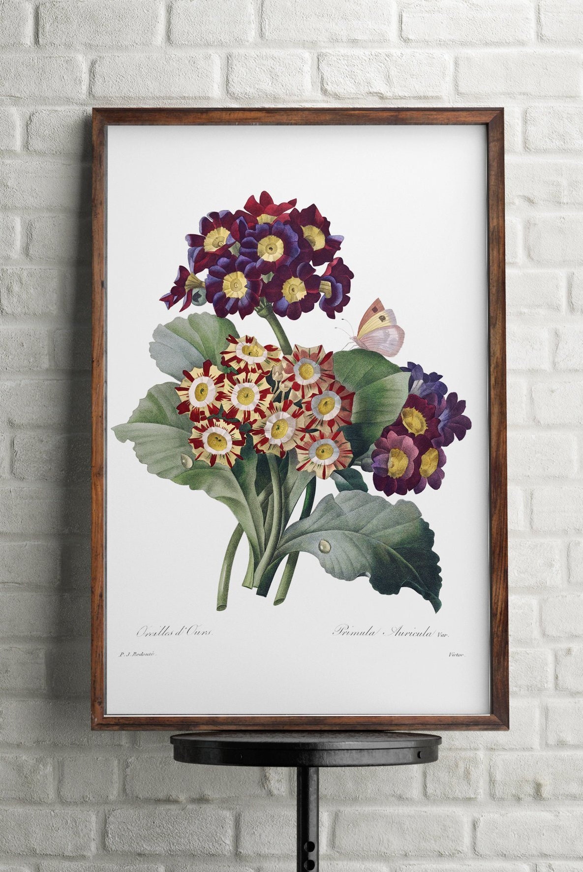 Primrose Flower Print Antique Primrose Bouquet Flowers Watercolor Wall ...