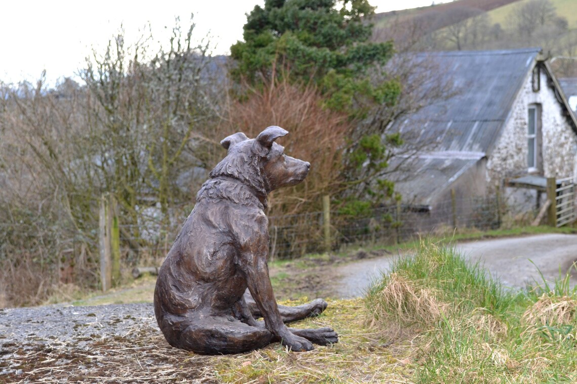 Sitting Border Collie Dog Statue Large Bronze Animal | Etsy