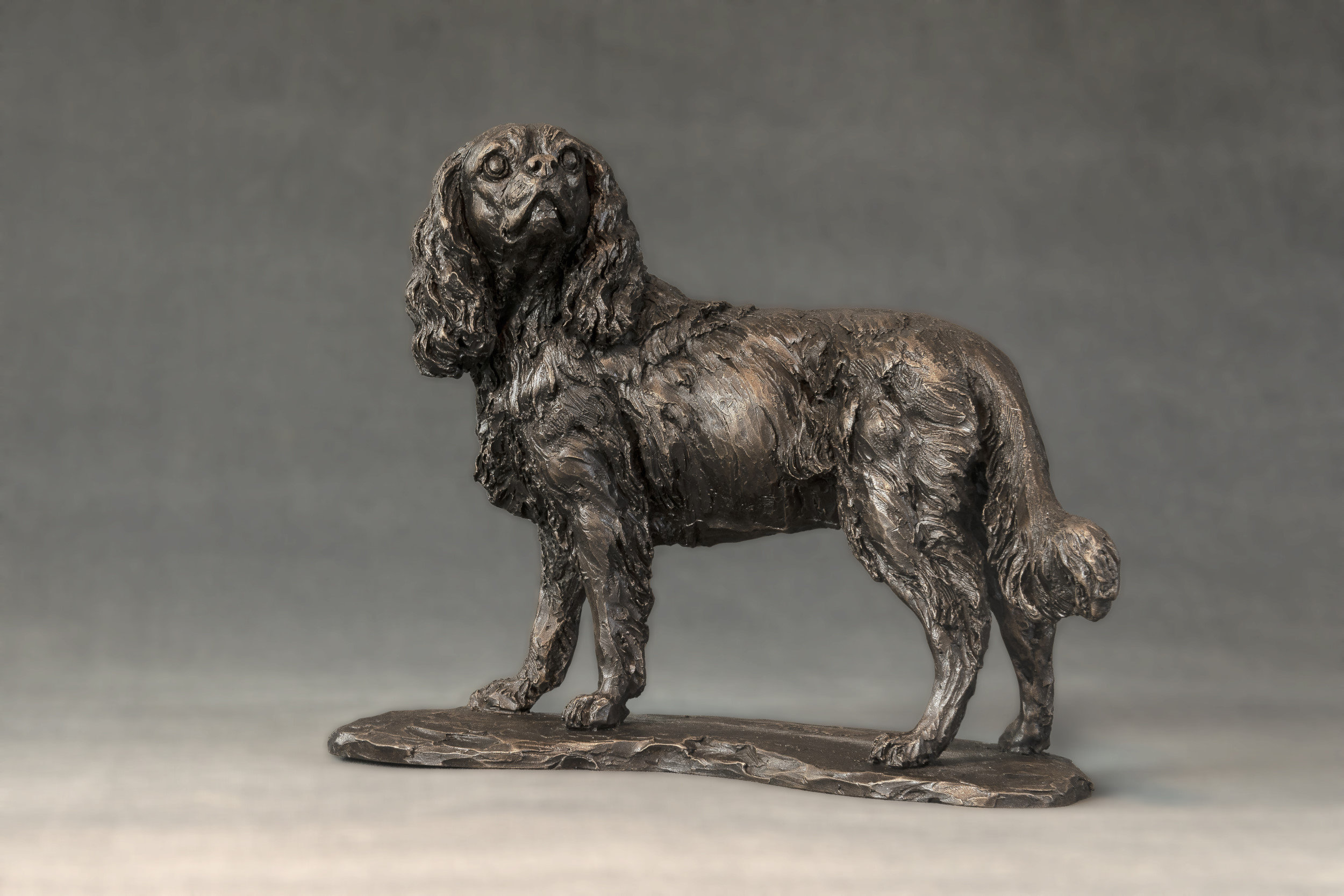 Small Cavalier King Charles Spaniel Dog Statue Small Bronze | Etsy