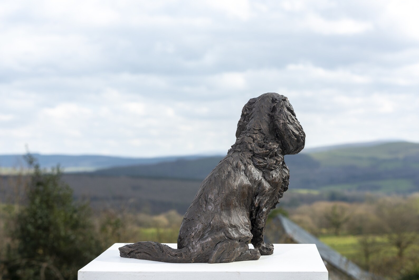 Sitting Cavalier King Charles Spaniel Statue | Large Bronze Resin ...