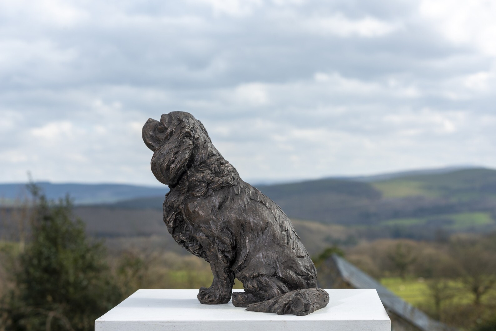 Sitting Cavalier King Charles Spaniel Statue | Large Bronze Resin ...