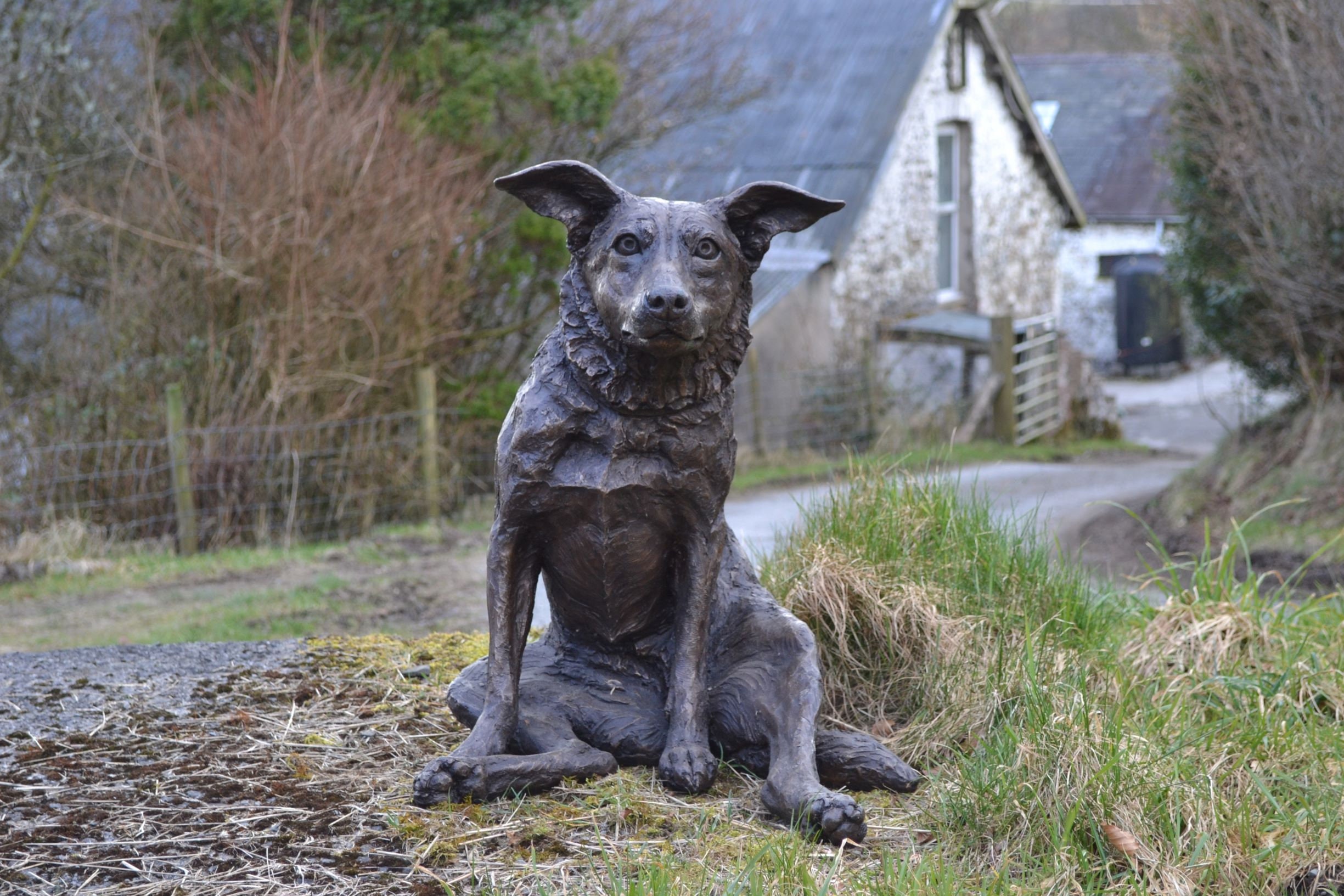 Sitting Border Collie Dog Statue | Large Bronze Resin Sculpture ...