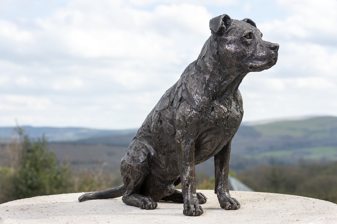 Sitting American Staffordshire Bull Terrier Statue | Large Bronze Resin ...