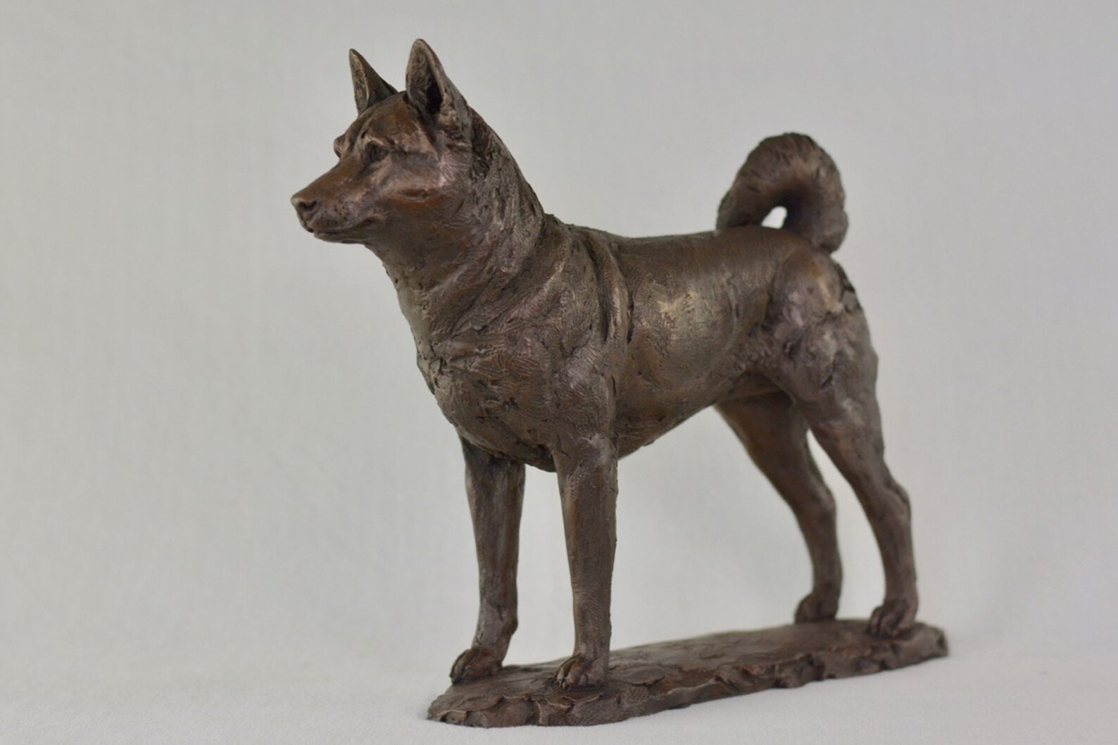 Standing Shiba Inu Animal Statue | Small Bronze Resin Sculpture ...