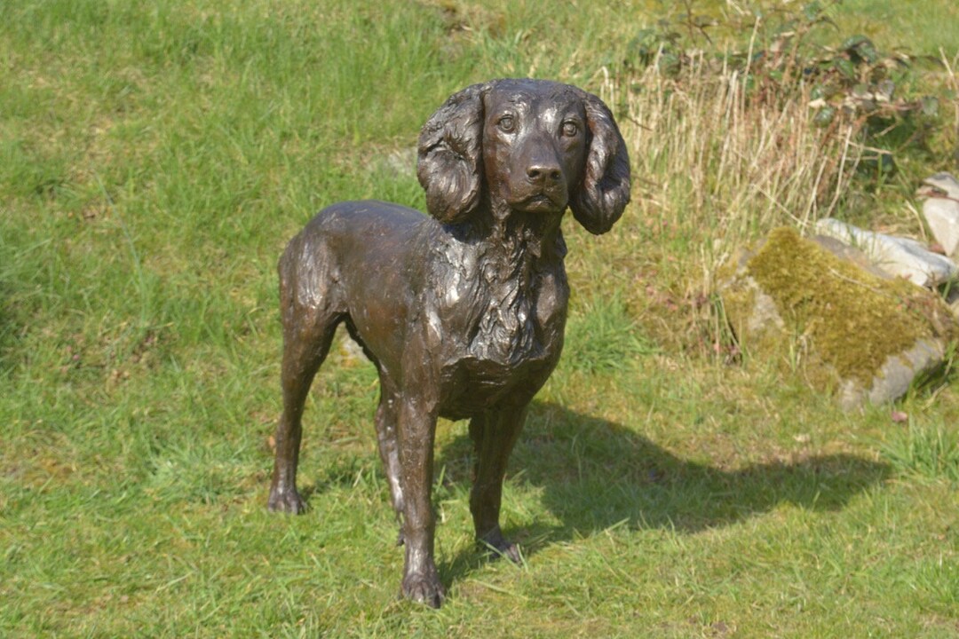 Standing Springer Spaniel Statue | Large Bronze Resin Sculpture ...