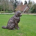 Sitting Newfoundland Dog Statue | Large Bronze Resin Sculpture ...
