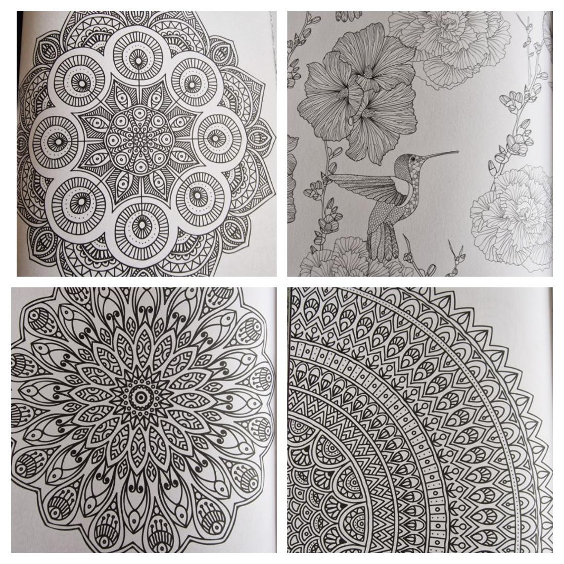 Coloring Book - Title 'creativity and Mindfullness', 100 Pages, Adult ...