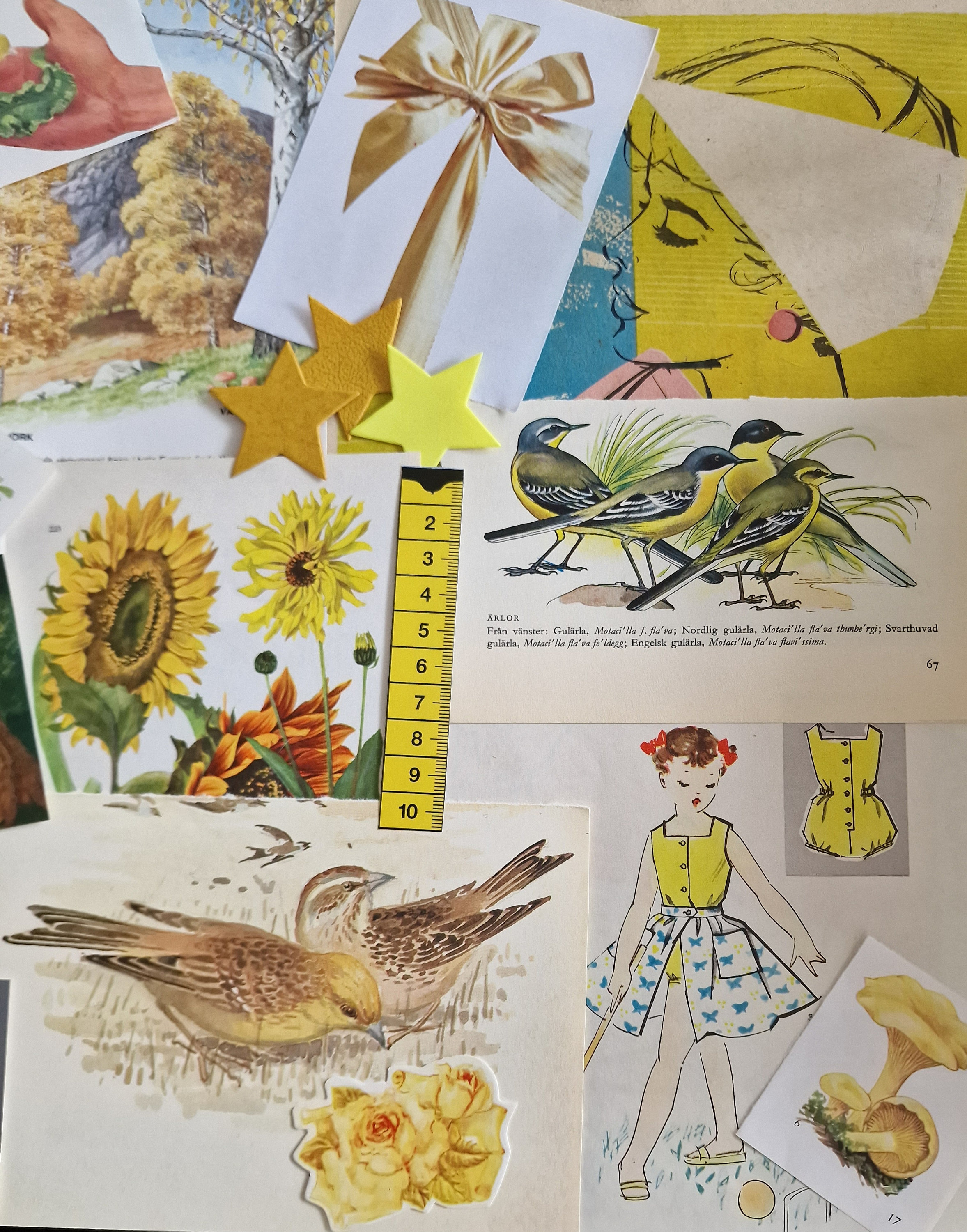 Ephemera Paper Pack Yellow Color Theme for Paper Crafting, Junk ...