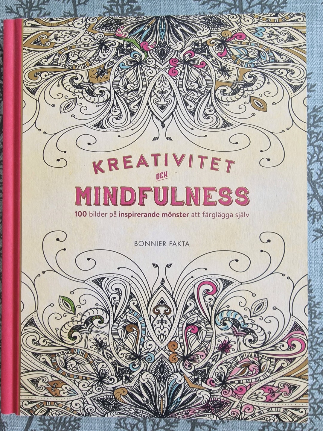 Coloring Book - Title 'creativity and Mindfullness', 100 Pages, Adult ...