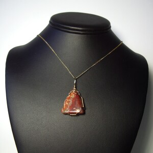 Coprolite, Agatized Dinosaur Dung Pendant-gold Filled Wire Wrapped ...