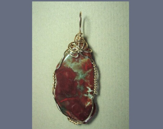 Coprolite Agatized Dinosaur Dung Pendant Wire Wrapped 14/20 - Etsy