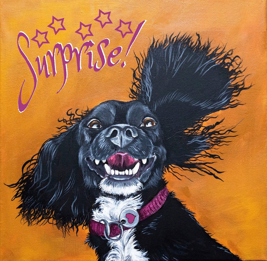 Black Spaniel Birthday Card Surprise Cocker Spaniel Birthday Card - Etsy