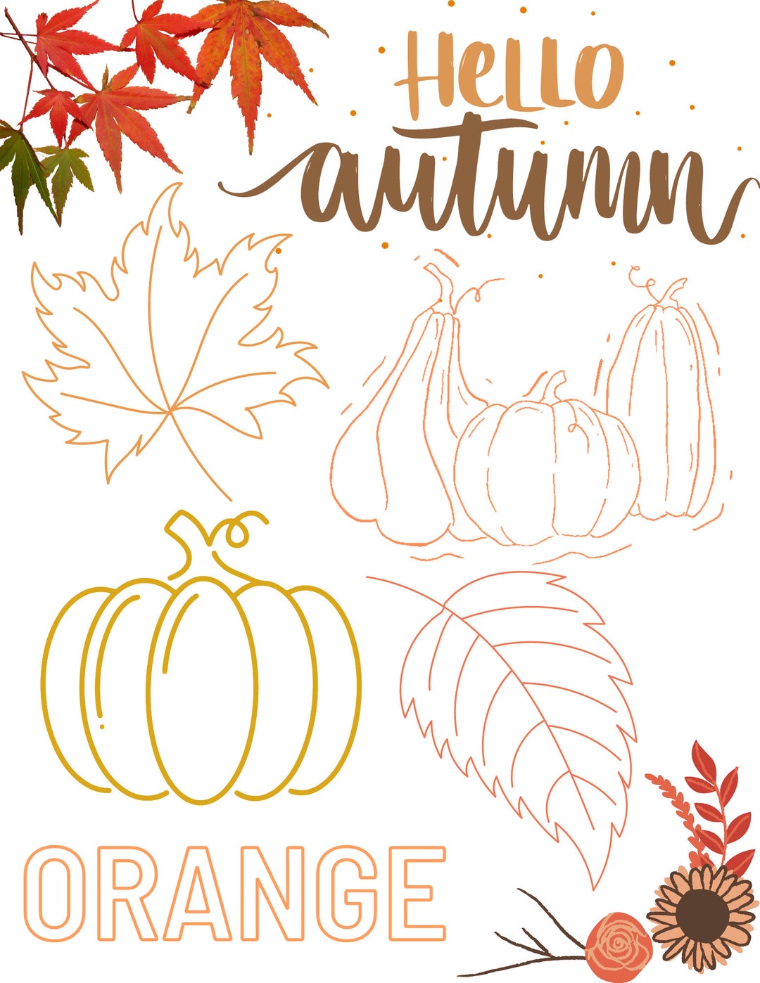 Printable Orange Coloring Worksheet - Toddler Color Worksheet - Instant ...