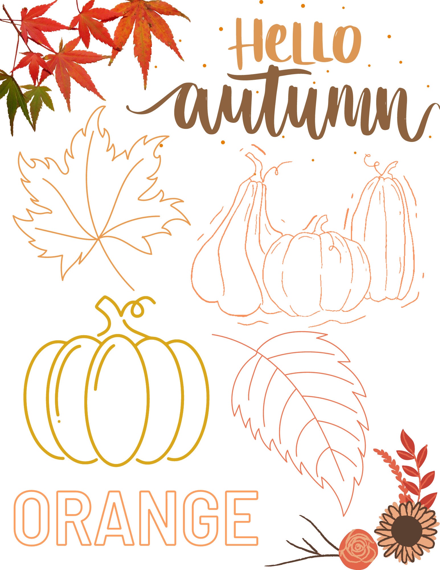 Printable Orange Coloring Worksheet - Toddler Color Worksheet - Instant ...