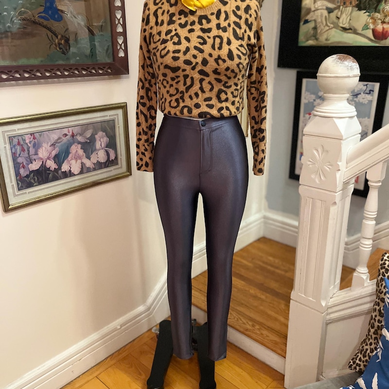 Shiny Spandex Pants - Etsy
