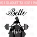 Belle of the Bar in Svg & Studio 3 Formats - Svg Png Files for ...