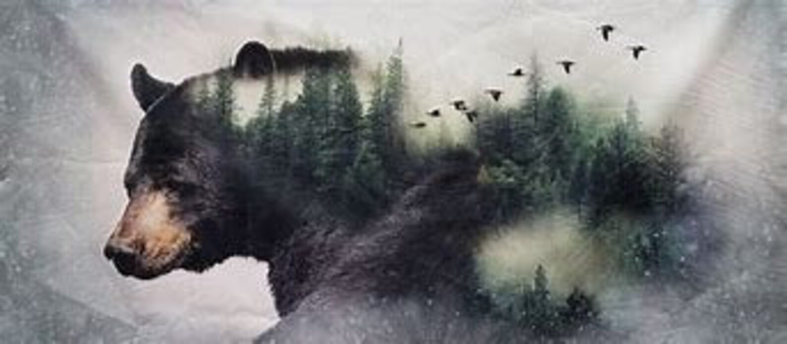 Call of the Wild - Bear in Forest - Hoffman 2106 - Etsy