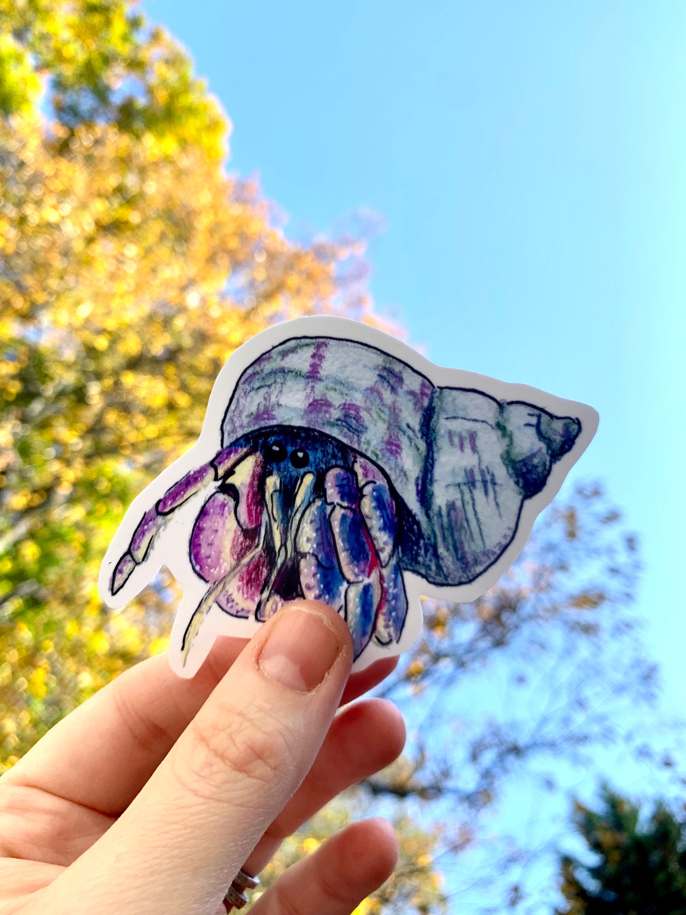 Hermit Crab Weatherproof Vinyl Sticker - Etsy