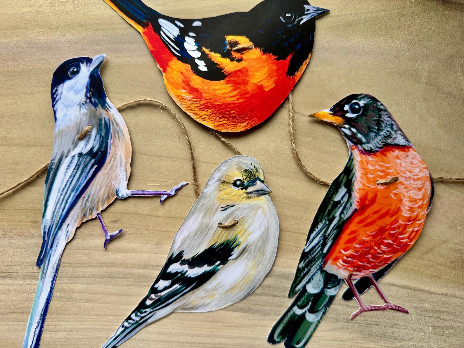 Song Birds Illustrated Paper Garland - Bird Watcher Gift - Bird Garland ...